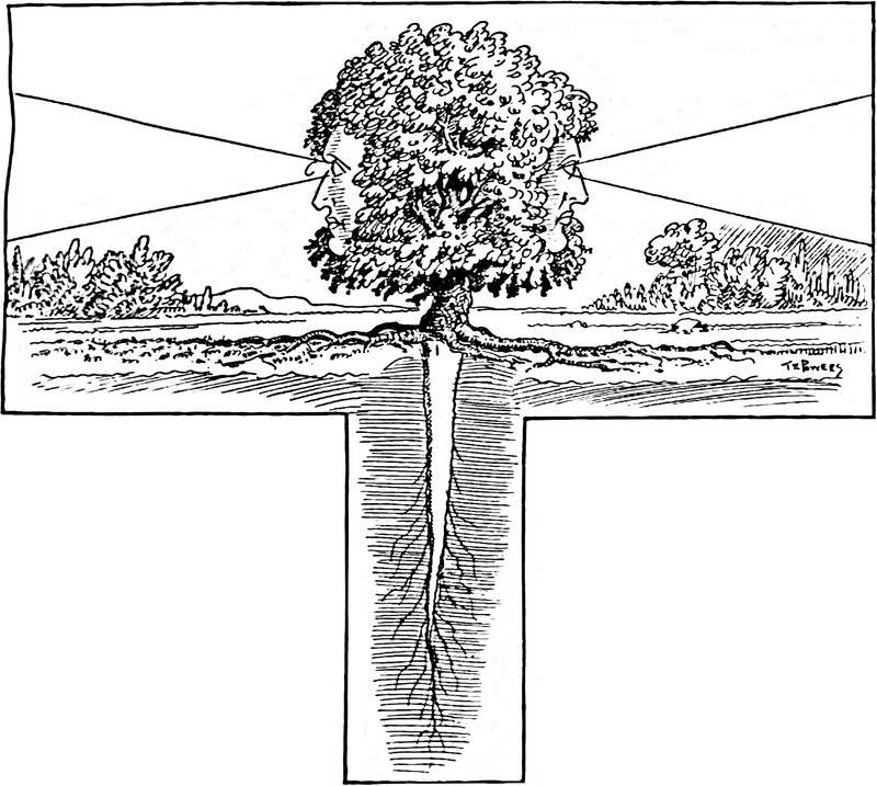 Abecedarian : posts tagged janus