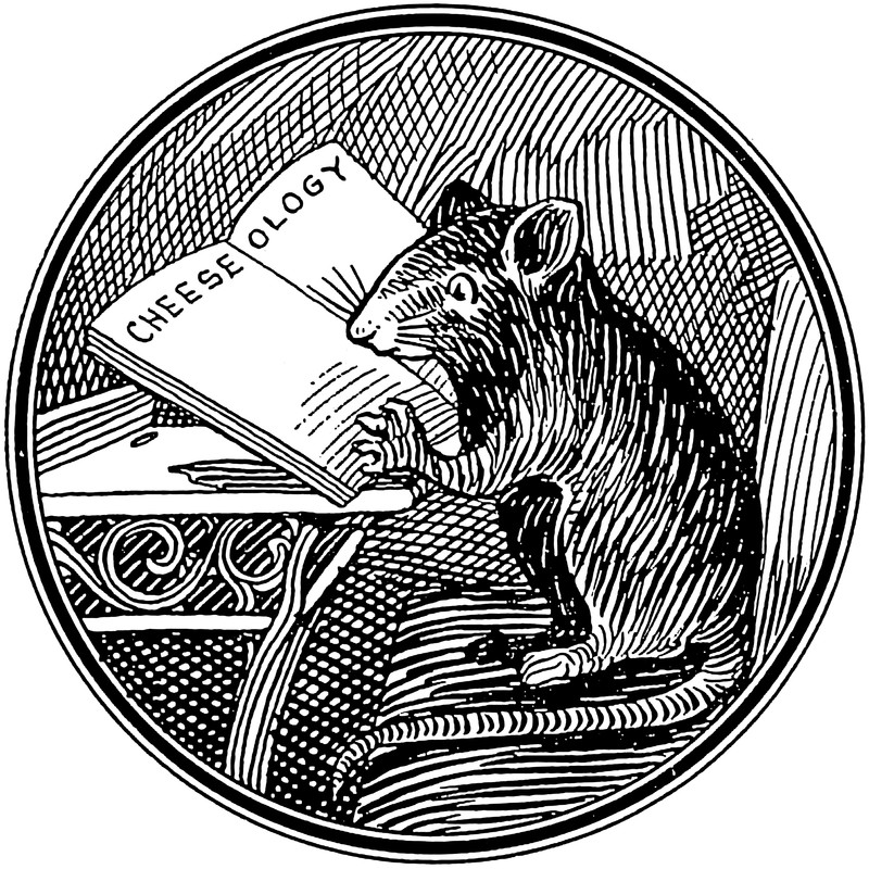 Abecedarian Web Log