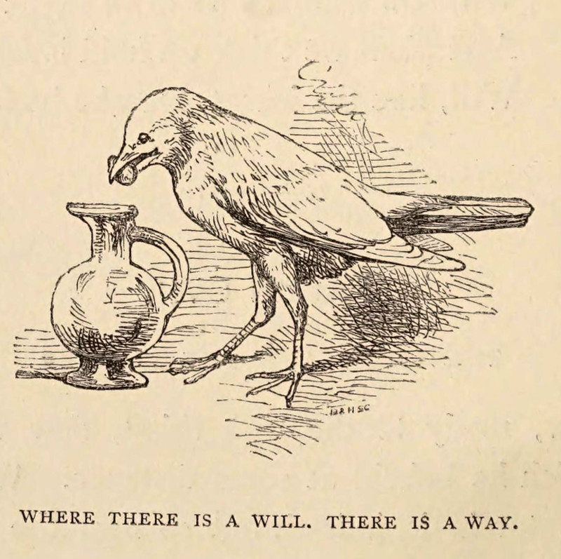 Abecedarian : posts tagged bird