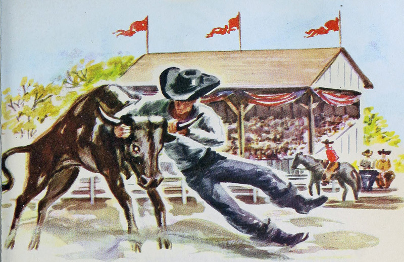 Abecedarian : posts tagged bull