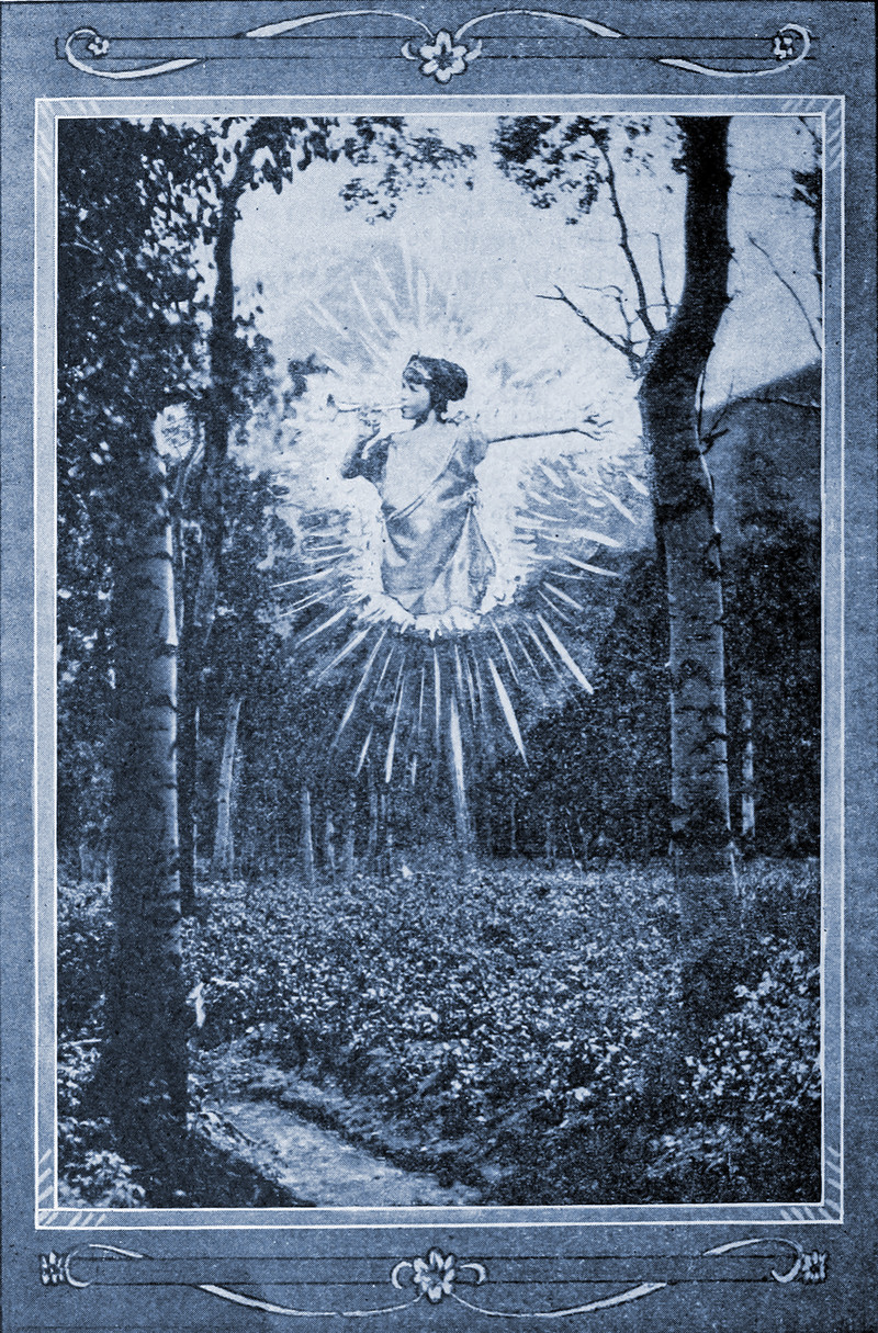 Abecedarian : posts tagged angel
