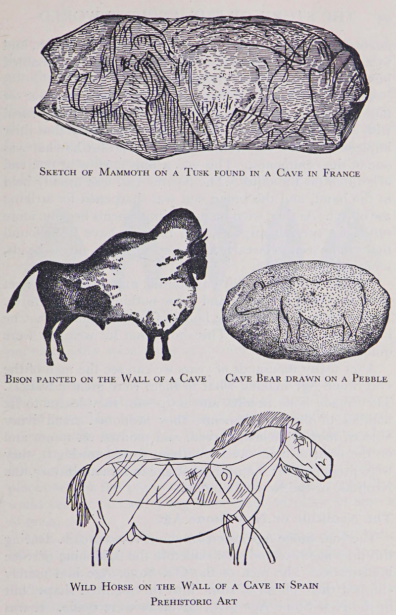 Abecedarian : posts tagged caveman